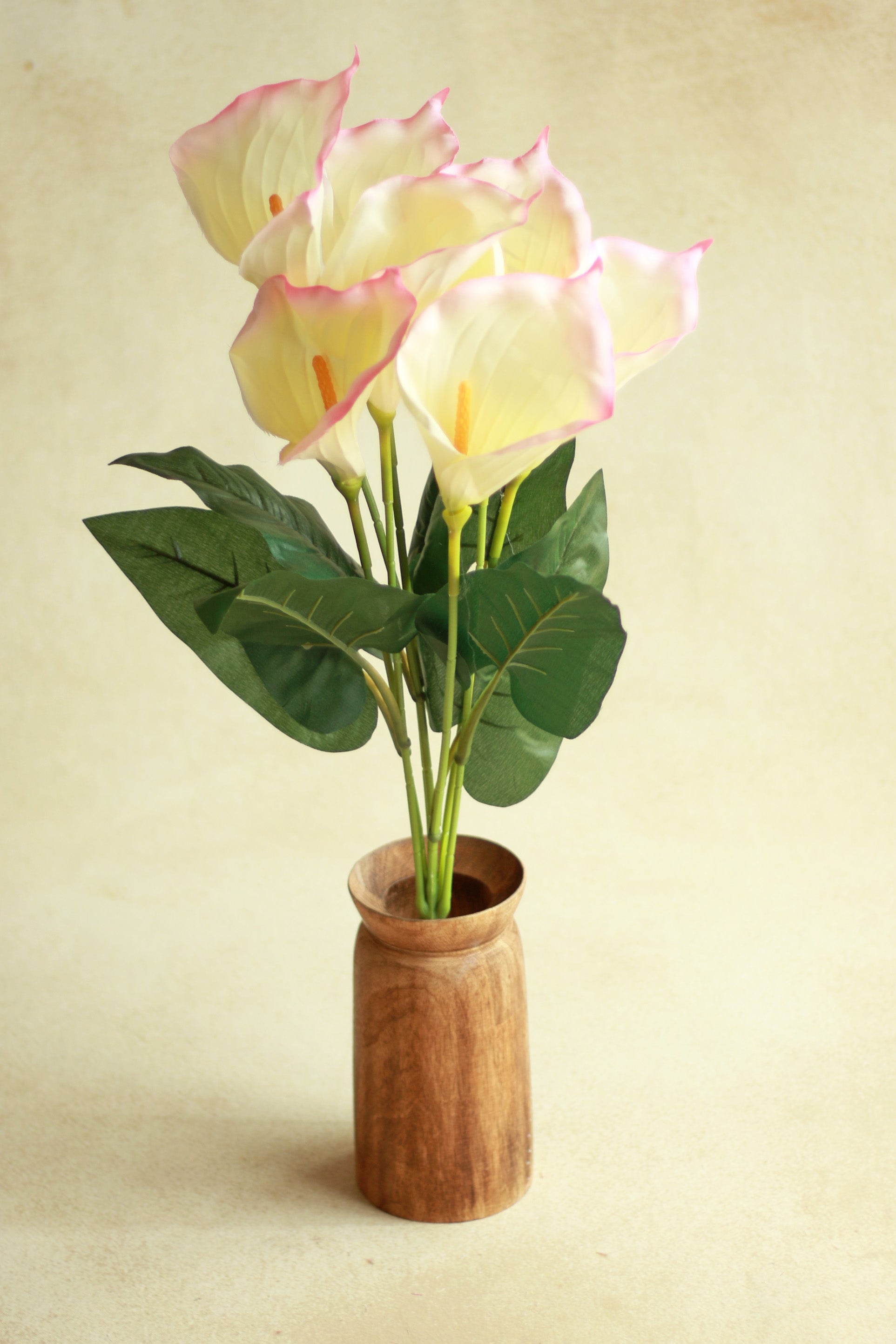 Calalily - Peach – Artista Prop Shop
